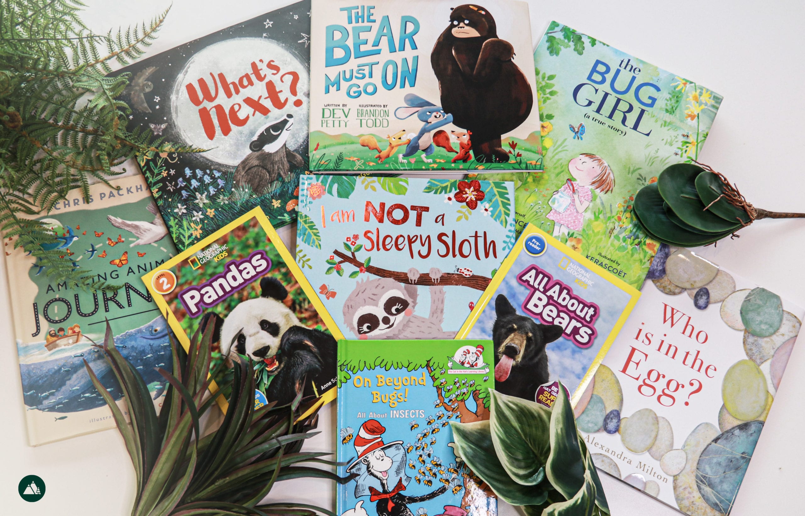 Nine Great Books About Mountains & Forests - Little Sunshine's Playhouse